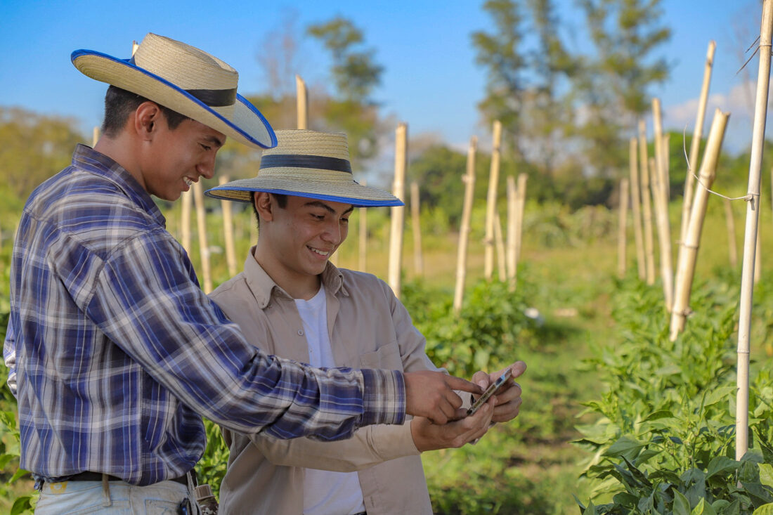 Ministerio de Agricultura lanza plataforma para capacitar a productores ...